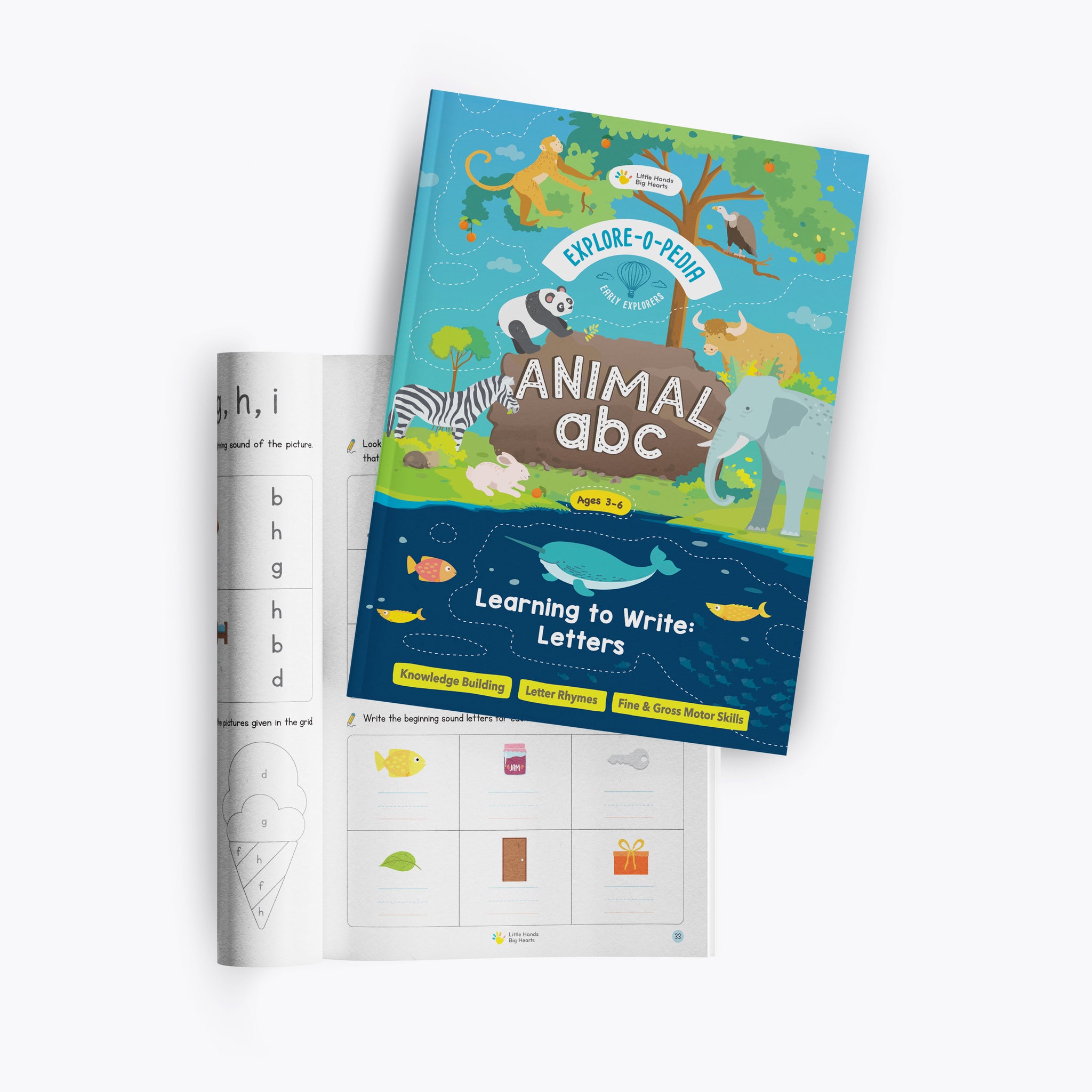 Animal ABC: Children's Encyclopedia – littlehandsbighearts